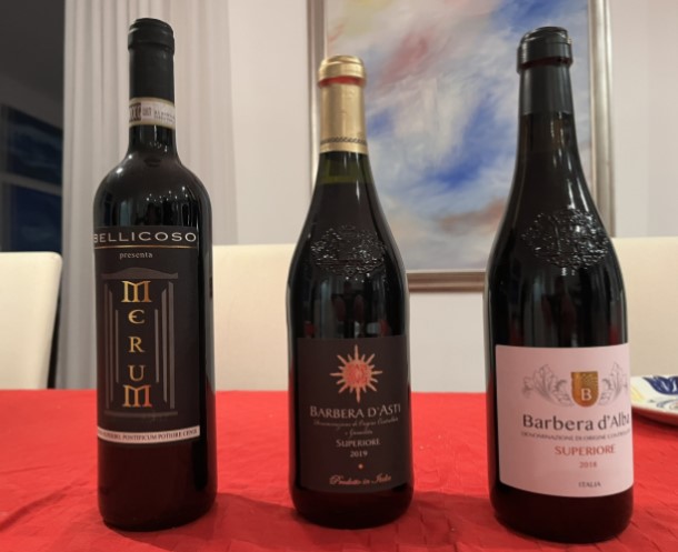 Der Große Barbera Test 2024 - von "Weinistgeil"